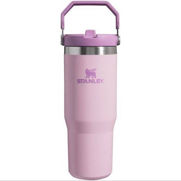 Stanley | Kitchen | Stanley Iceflow 3 Oz Flip Straw Tumbler In Tulle ...